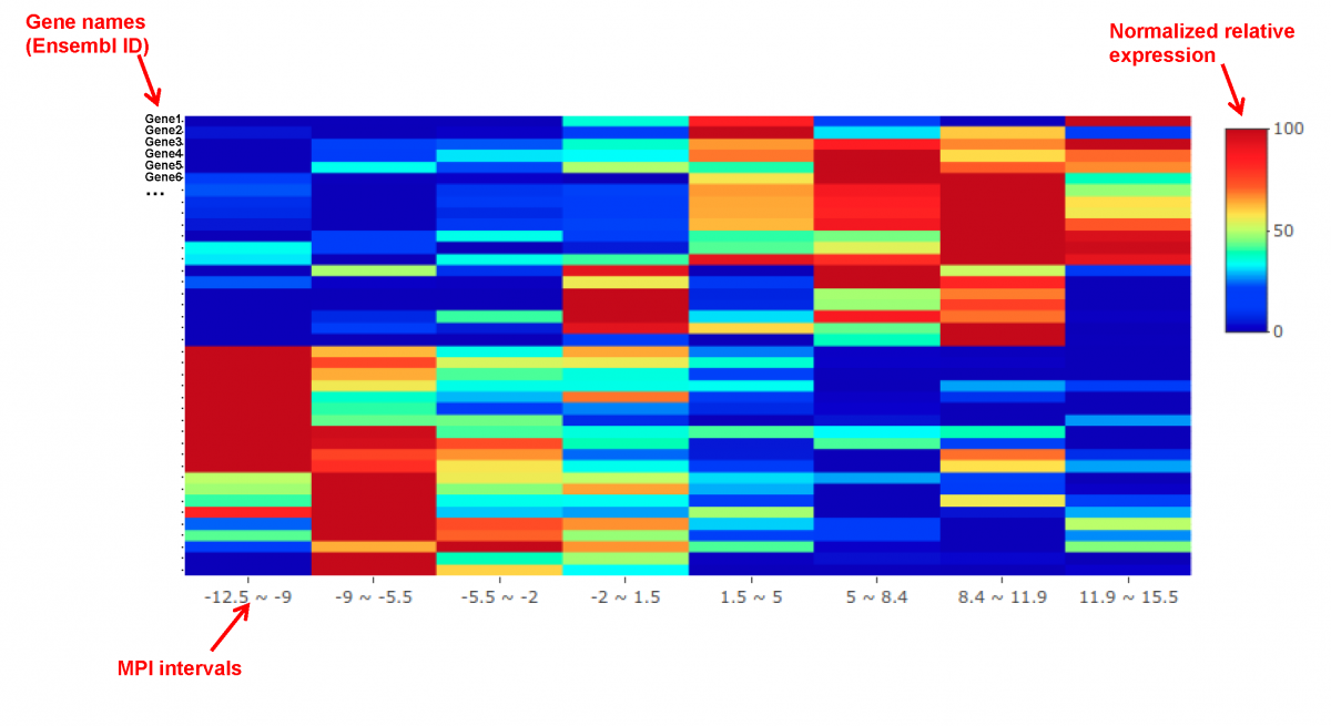 User Instructions | MacSpectrum